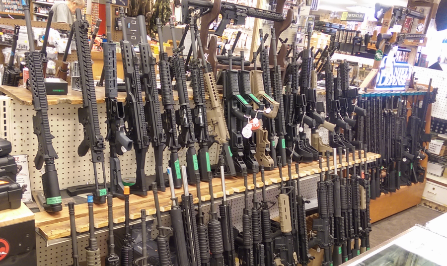 What Should I Look for When Buying my First Gun? – Firefield.com